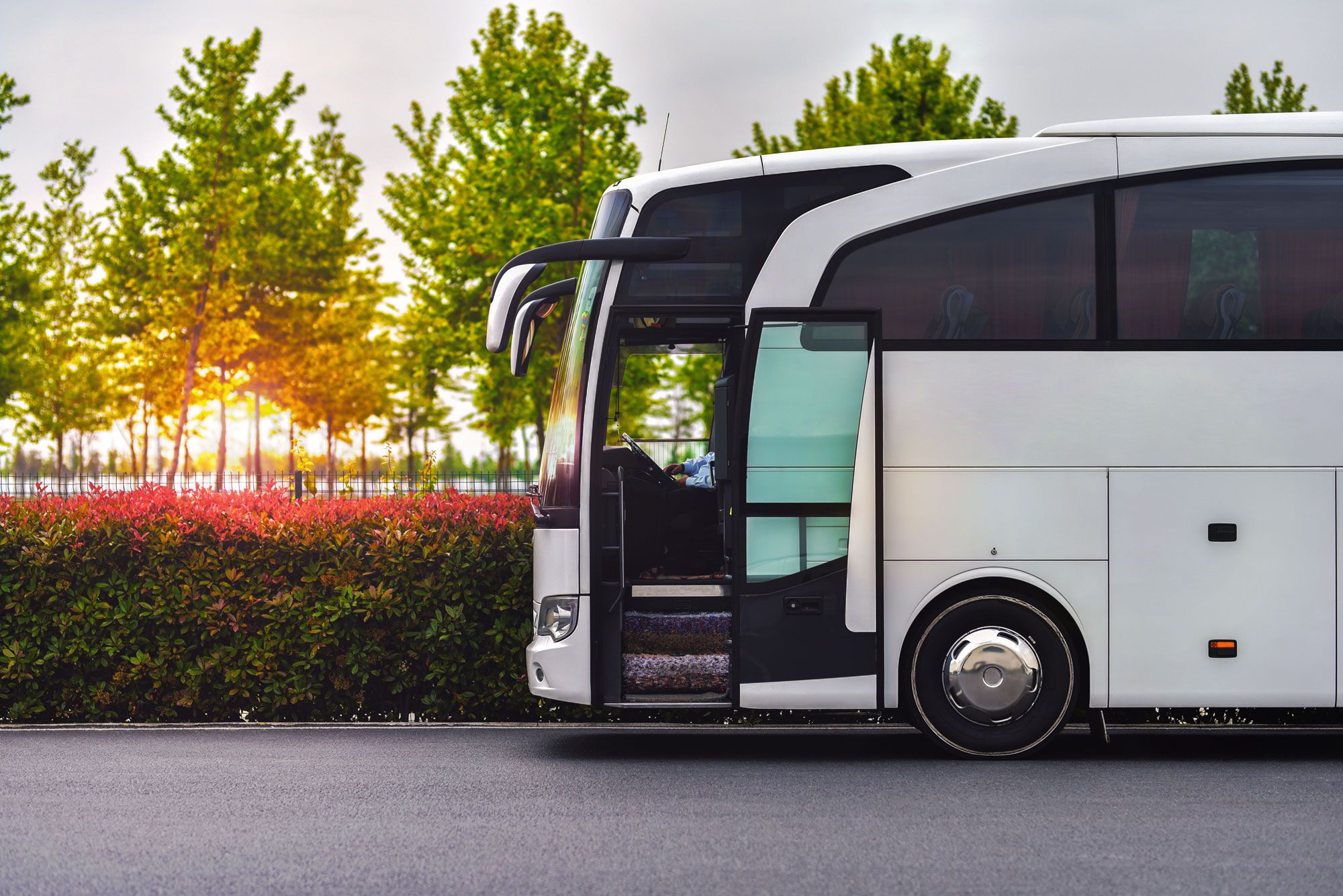 Bus Fleet Tracking | Bus GPS Tracking | Radius